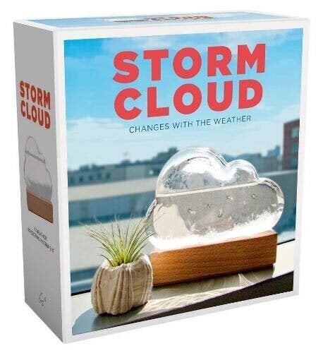 STORM CLOUD WEATHER PREDICTOR | Black Market Provisions